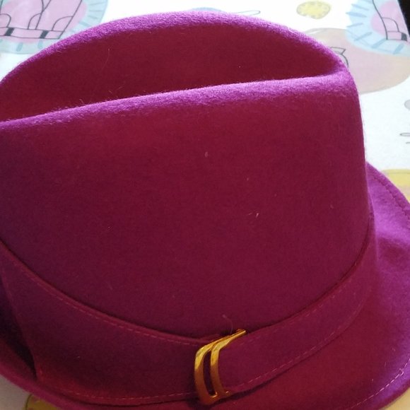 Accessories | Fancy Very Modern Hat Fedora Nwot | Poshmark